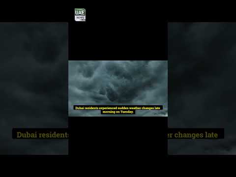 UAE Weather Alert: Dust Storm Warning Brings Road Chaos #dubainews #news