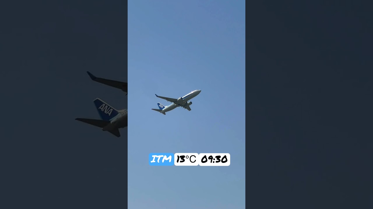 ANA Boeing737-881 Takeoff Osaka International Airport #ana #boeing737800 #takeoff