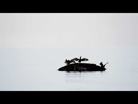 12 Breaths Meditation: Images from Cape Cod with Jonathan Foust