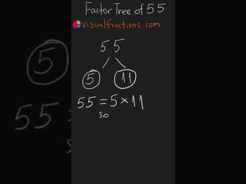 Factors of 55: Prime Factorization Using a Factor Tree #mathshorts #math #mathtricks #factorization