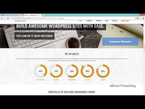 Best All Around WP Theme - Solitudo by AIT Themes | eStore Coaching