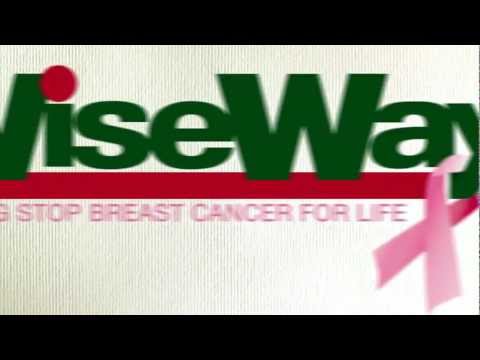 wiseway_tag1x_21H