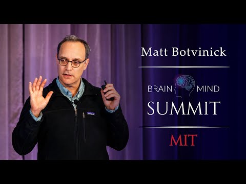 Matt Botvinick - Holy Grail Questions at the Intersection of Neuroscience and AI