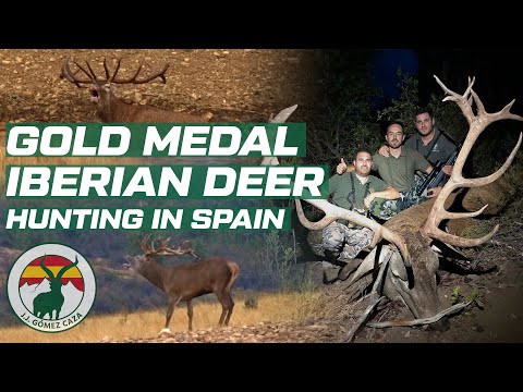 Gold Medal Iberian Deer Hunting in Spain