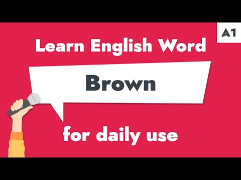 #014 – "Brown" | Learn A1 English Adjective – Describe something of the color brown.