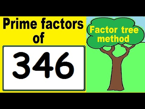 Prime factors of 346. Prime factors decomposition of 346. Factor tree method.