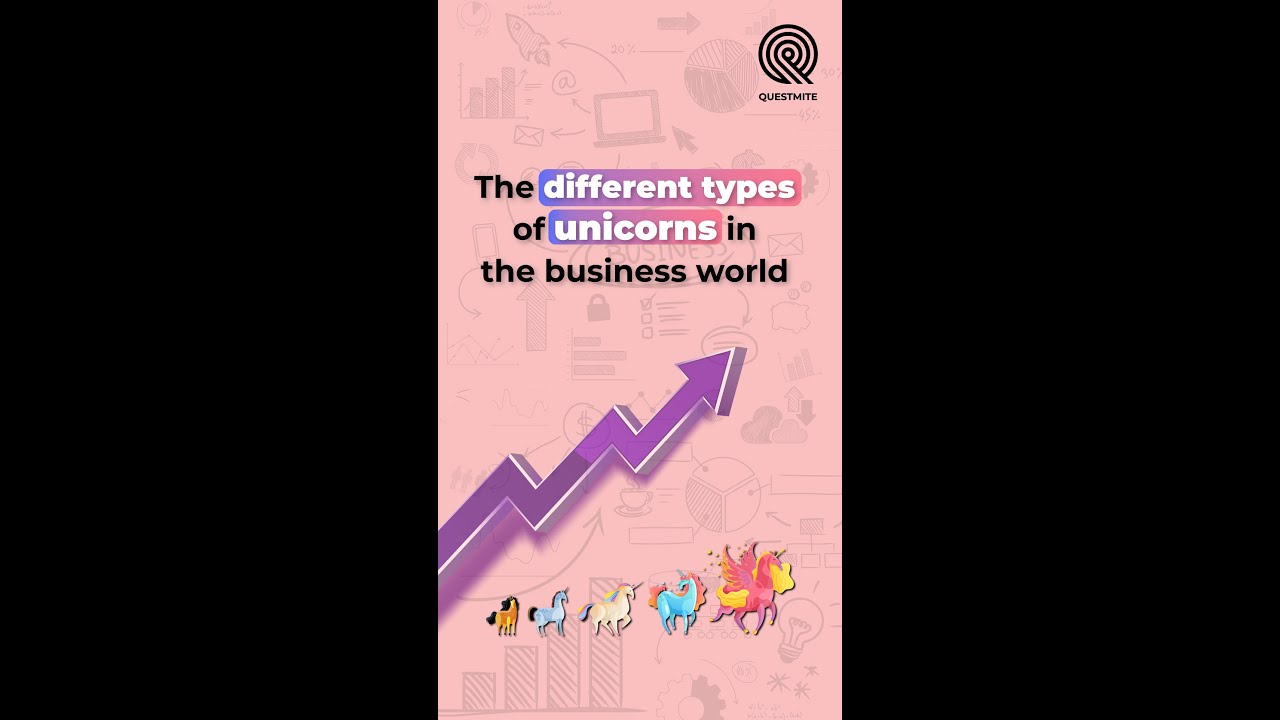 The different types of unicorn companies | Questmite