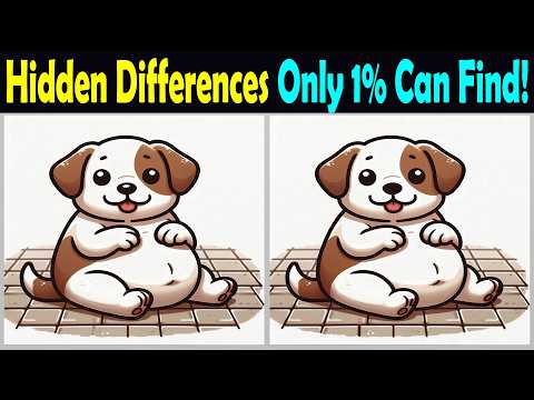 Spot The Difference Game : Hidden Differences Only 1% Can Find 🎬247 [Find 3 Differences]
