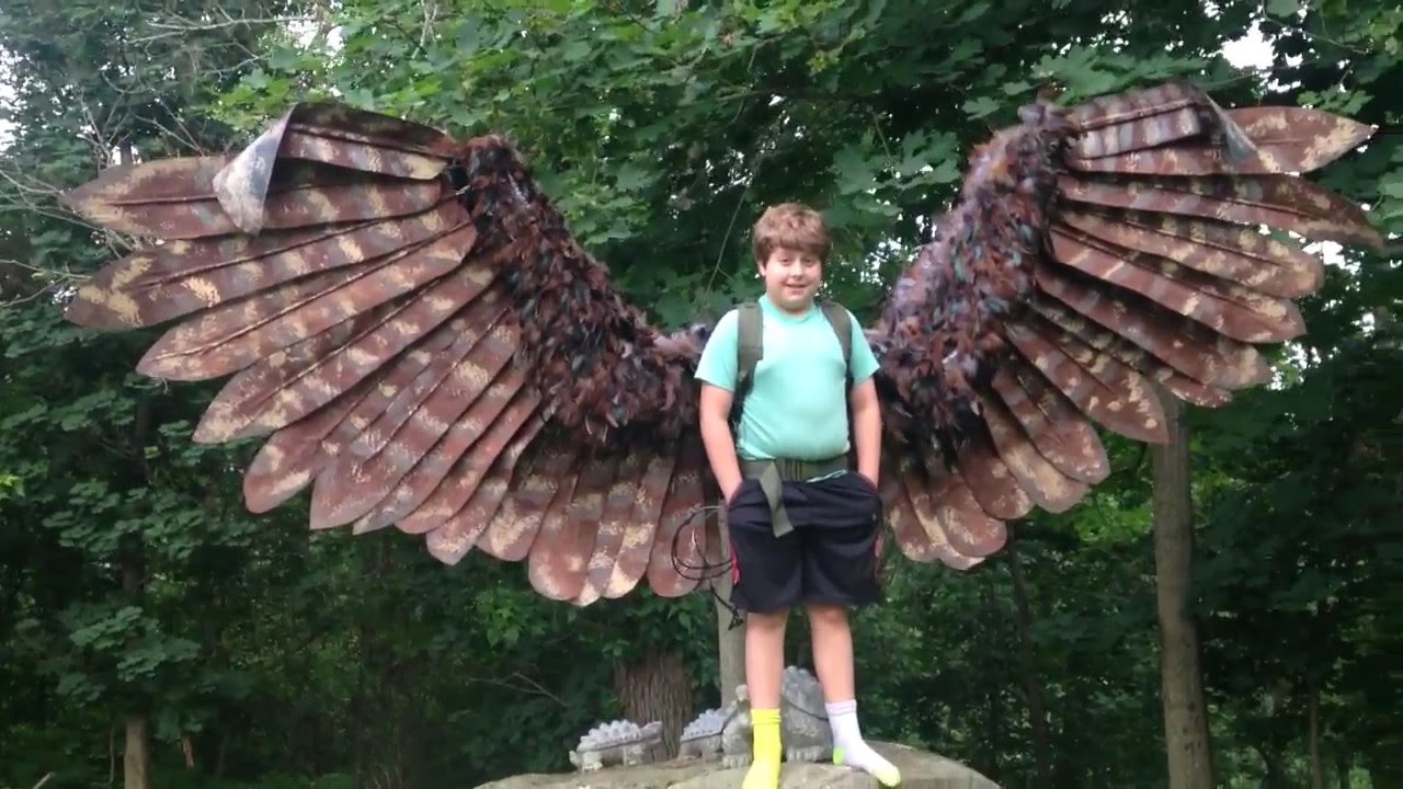Articulating electric wings demonstration 1
