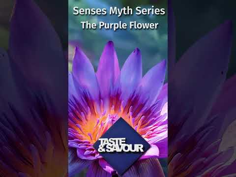 Mythologies: The Purple Flower