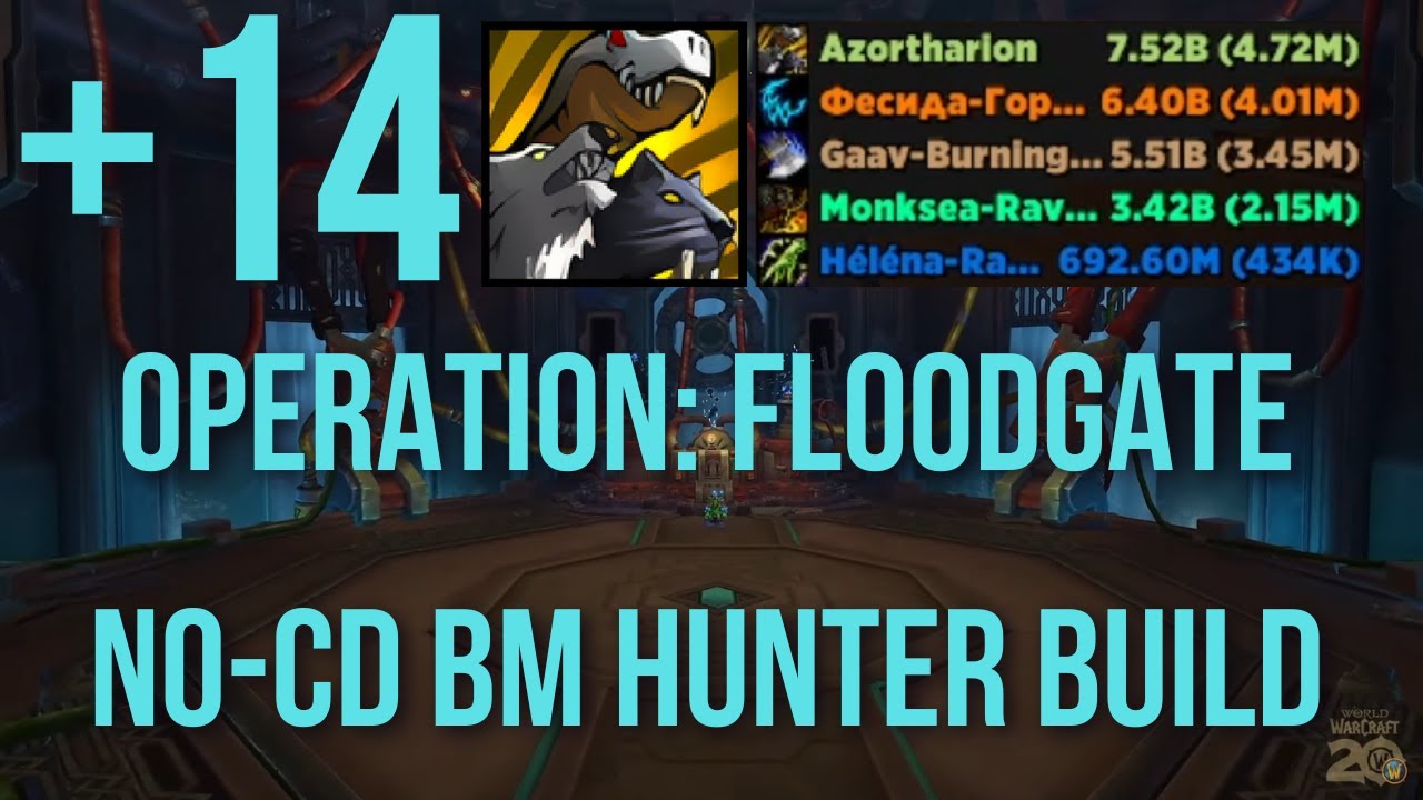 Another patch without bm buffs - #101 by Celinamuna-area-52 - Hunter ...