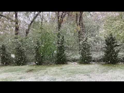 Snow Bella Vista AR April 20, 2021