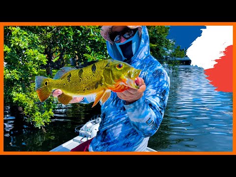 Crazy French Anglers Fish Urban Miami | Fishing Charter