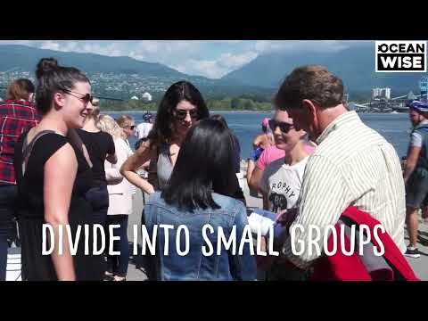 How to Lead a Shoreline Cleanup
