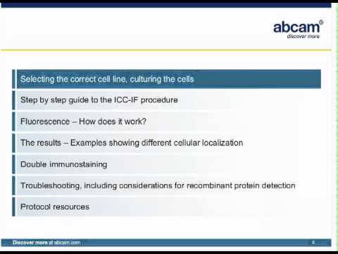 Immunocytochemistry (ICC) principles and troubleshooting