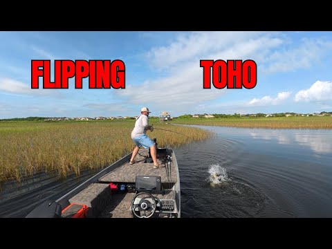 Froggin & Flippin BIG BASS on TOHO || Catching big bass without a fancy boat or electronics!