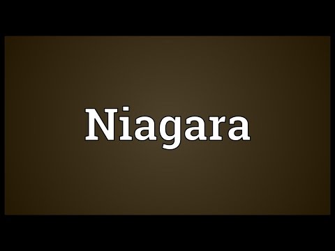 Niagara Meaning