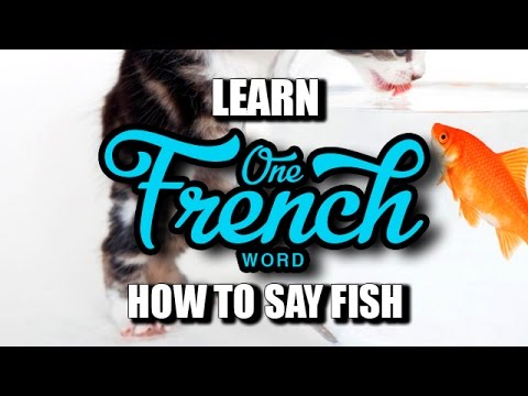 Learn one French word - How to say - Fish