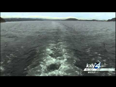 CdA Resort running bald eagle cruises through New Year's Day
