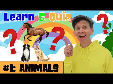 Animals Vocabulary For Kids | Learn and Quiz with Matt