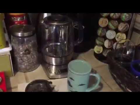 David's Tea Hauls + Breville One Touch Tea Maker & David's Tea Cloudy Sky Nordic Mug Demos