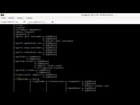 How to display process tree in Unix