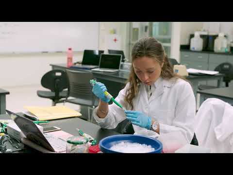 Master's in Biotechnology at USF - Advantages of Professional Science Master's