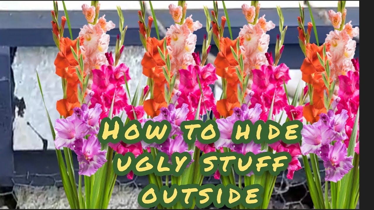 How to Create a Flower Screen (to hide ugly stuff)