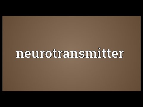 Neurotransmitter Meaning