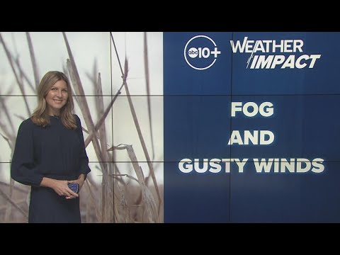 California Weather: Fog and wind to hit the workweek forecast