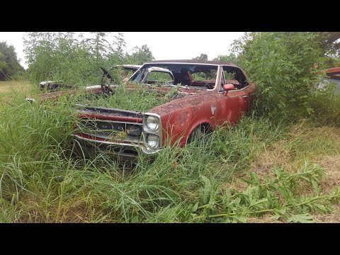Exploring the Field of Broken Dreams with 23 Field Cars