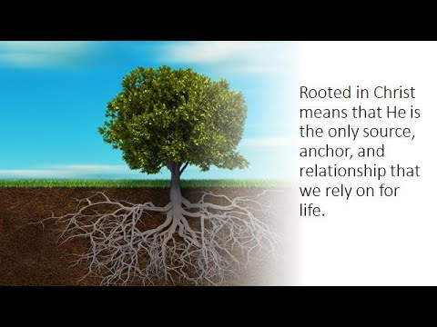 A Study of Colossians week 14