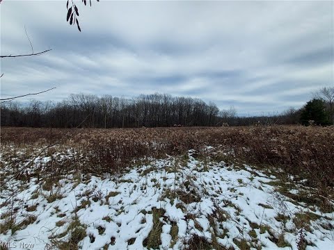 Residential for sale - Girdled Road, Painesville, OH 44077