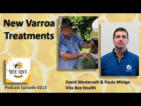 New Varroa Mite Treatments for Beekeepers