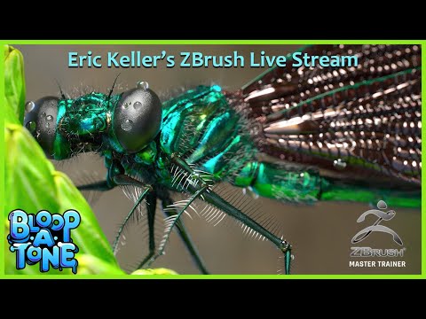 Insect Inspired Creature Sculpting with Eric Keller