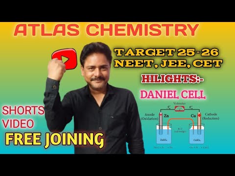 Daniel Cell