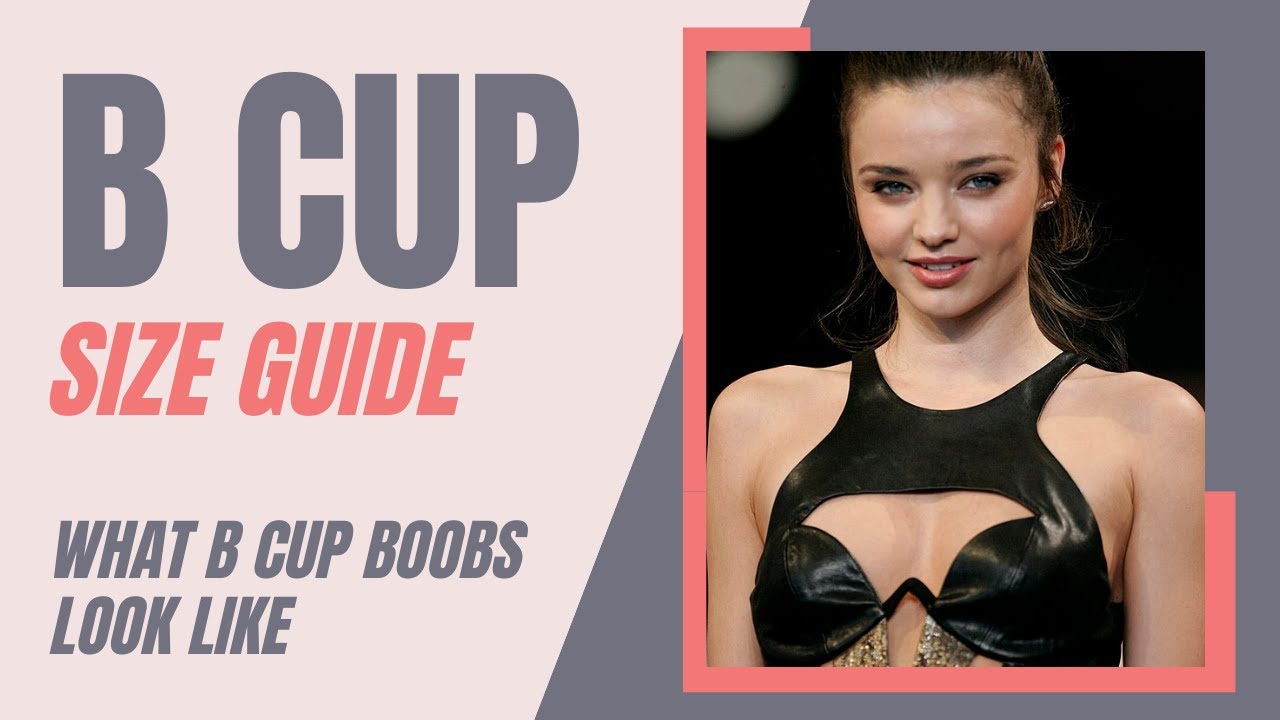B Cup Size Ultimate Guide: What B Cup Breasts Look Like [2023]