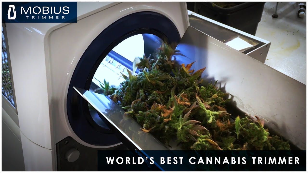 World's Best Cannabis Trimmer - Mobius Trimmer M108