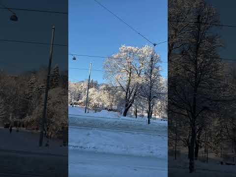 Helsinki winter #2022 #2023 #2024 #2025 #2040 #2050 #snow #sunnywinter #finland #Lapland