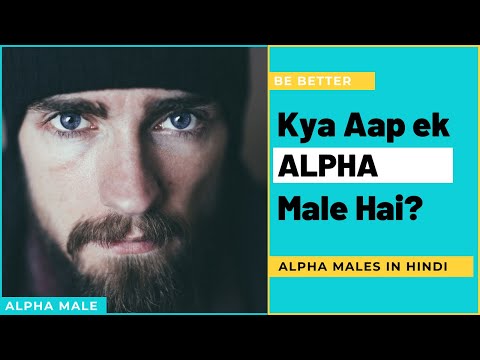 Alpha Males Explained In Hindi | Alpha Male Mindset | Alpha Male Kaise Bane