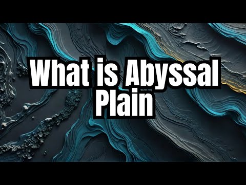 What is Abyssal Plain? The Deepest Mystery of the Ocean Floor!