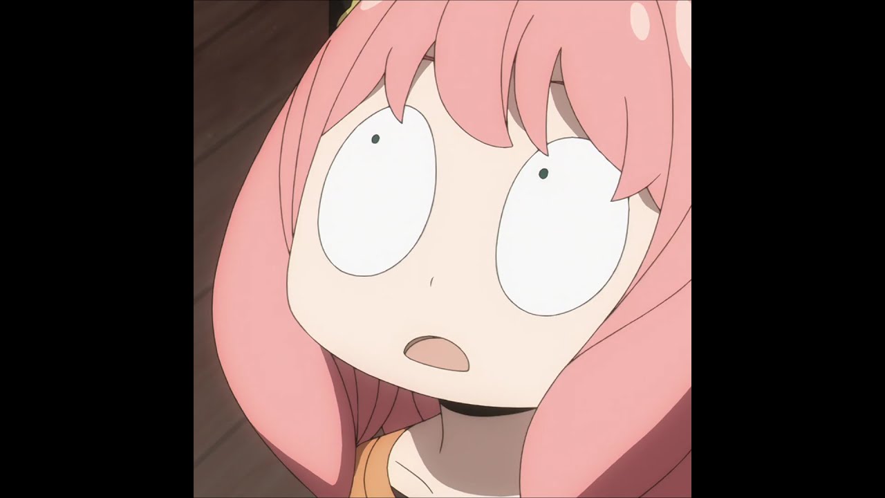 I Love You Agent Twilight | animokyo