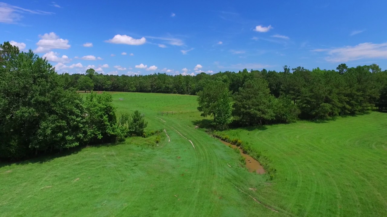 100 Acre Cattle Ranch, 375 Ingram Road, Defuniak Springs, FL 32435 - Naylor Realty & Associates