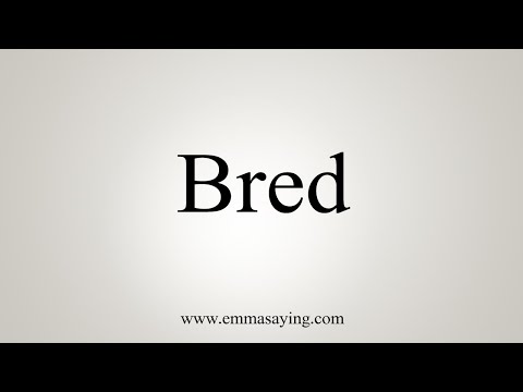 How To Say Bred