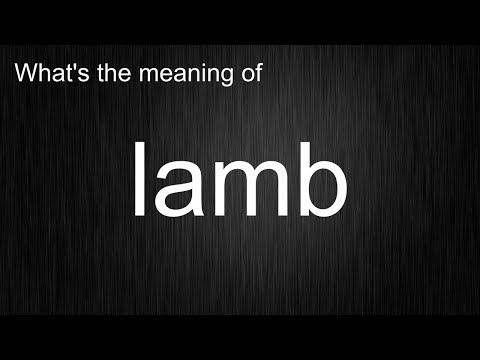 Uncovering the True Meaning of "lamb"! How Should It Be Pronounced?