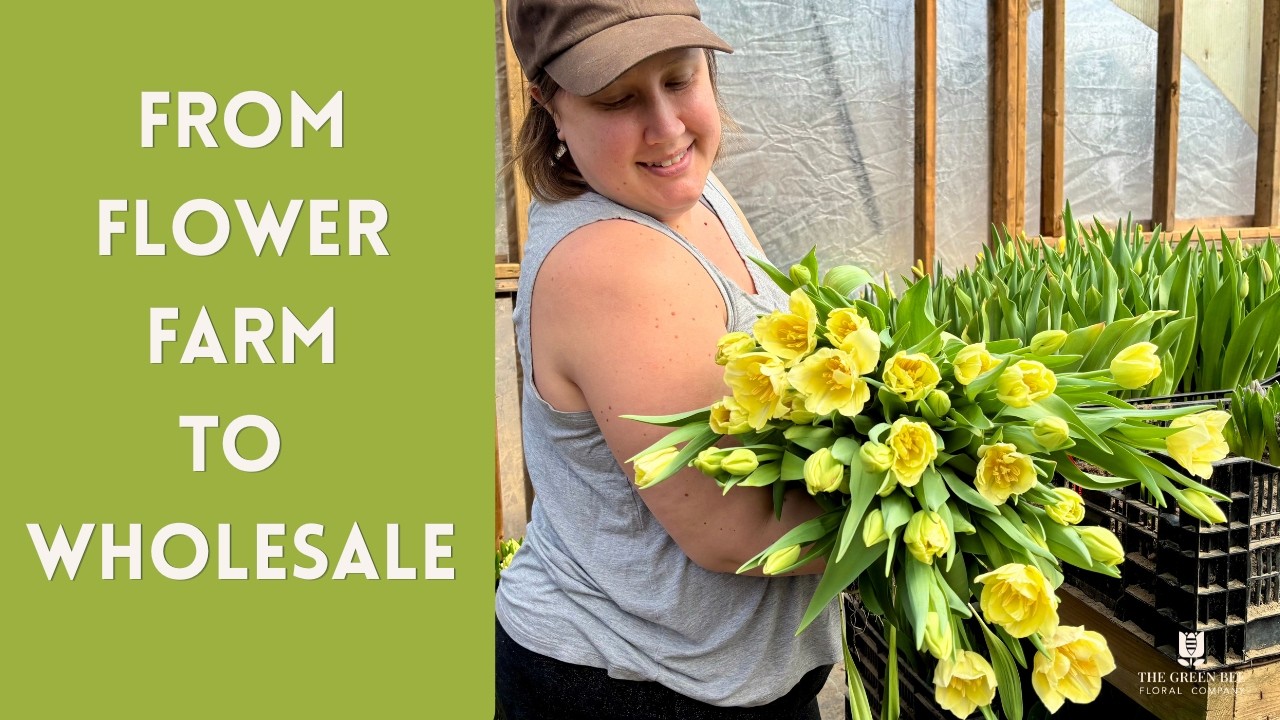 From Flower Farm to Wholesaler // How we process + bunch tulips & hyacinth for wholesale sales
