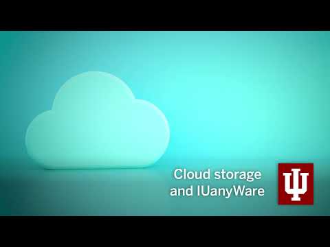 Cloud Storage and IUanyWare
