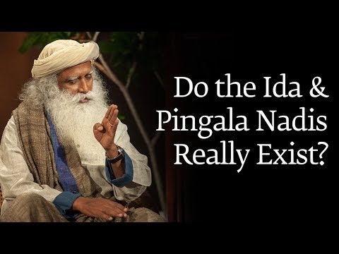 Do the Ida and Pingala Nadis Really Exist?