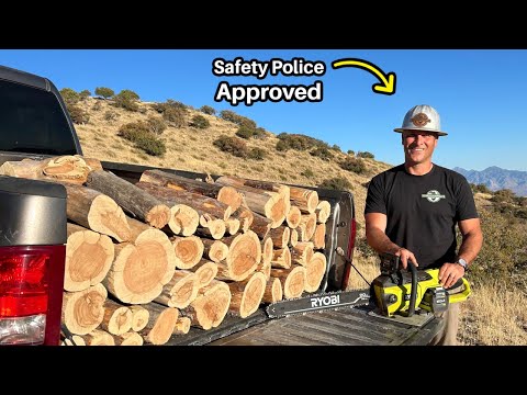 In Search of Juniper - The BEST Wood for Kindling and Aromatic Fires!