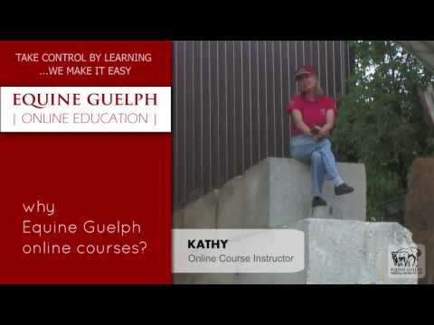 Online course Instructor talks about horse education with Equine Guelph.